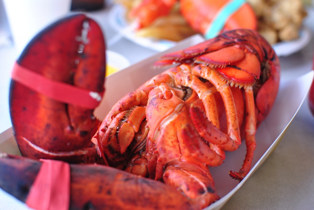 Steamed lobster