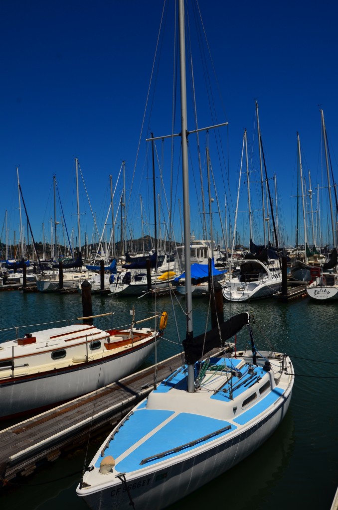 Boats in the harbor